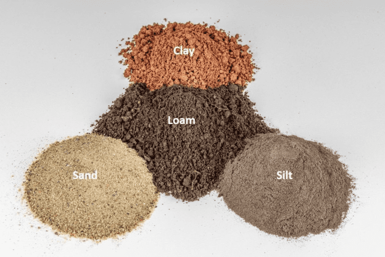 Identifying Your Soil - Beach Landscaping - Myrtle Beach Weekly Tips ...