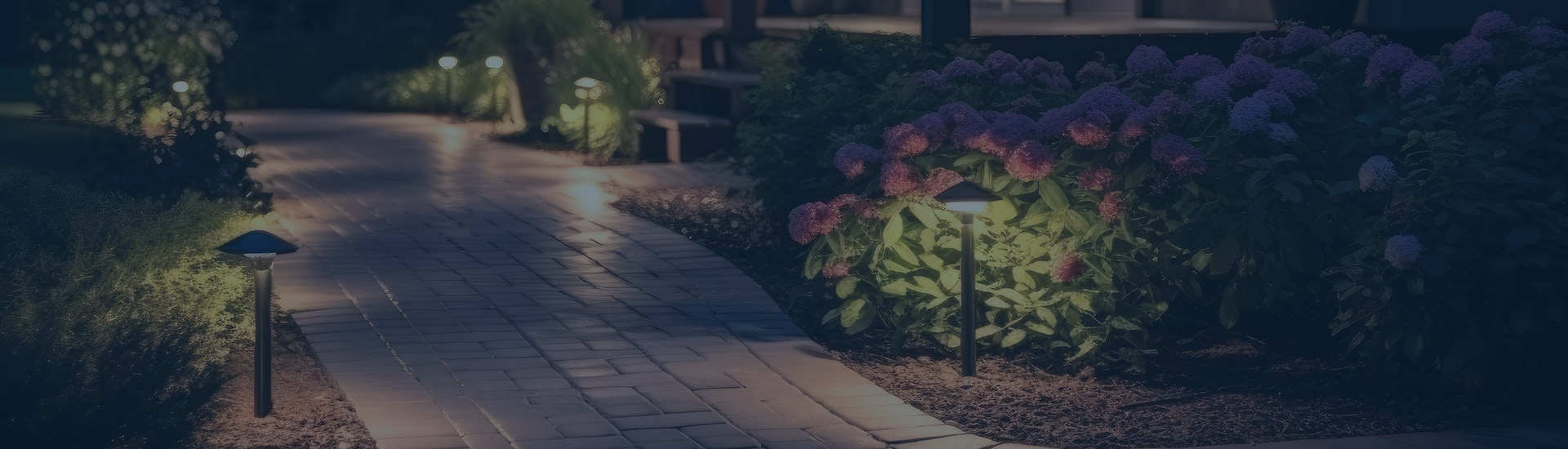 Plant Library - Beach Landscaping - Myrtle Beach Landscaping ...