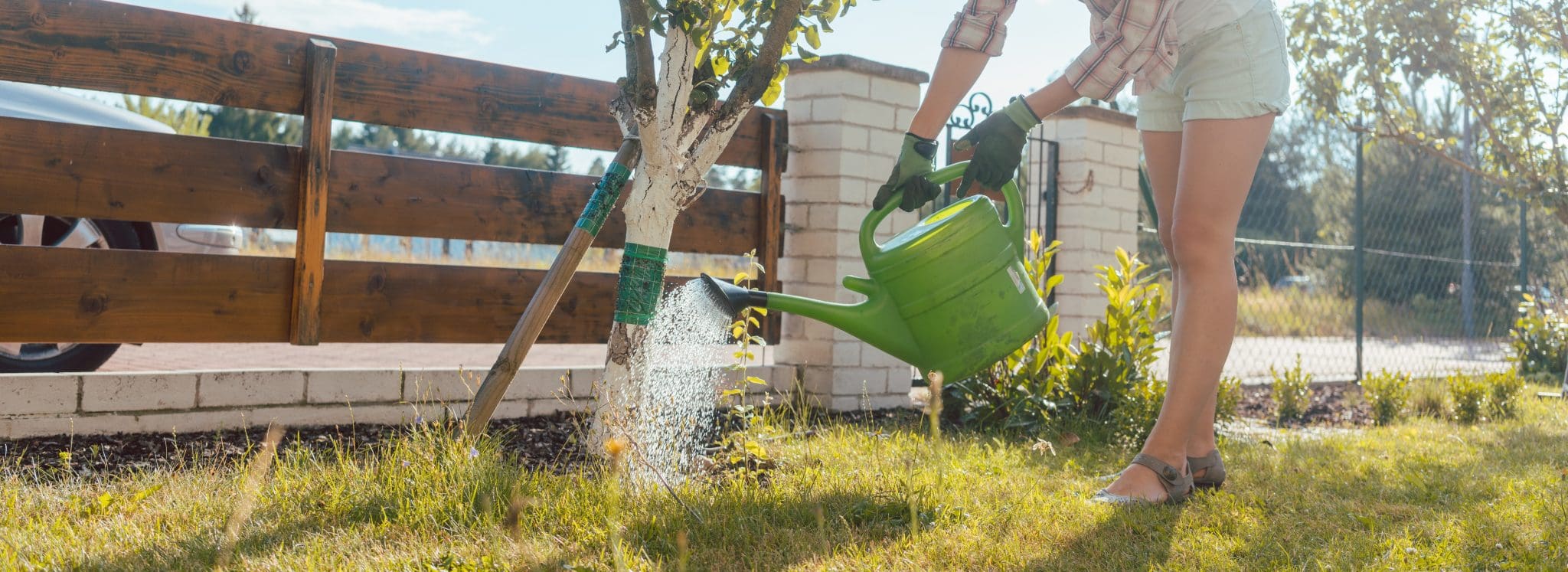 Newly Planted Watering Instructions - Beach Landscaping - Myrtle Beach ...